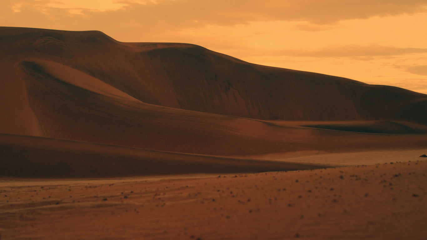 Free "Blade Runner 2049" LUT Just Released! – CINECOLOR