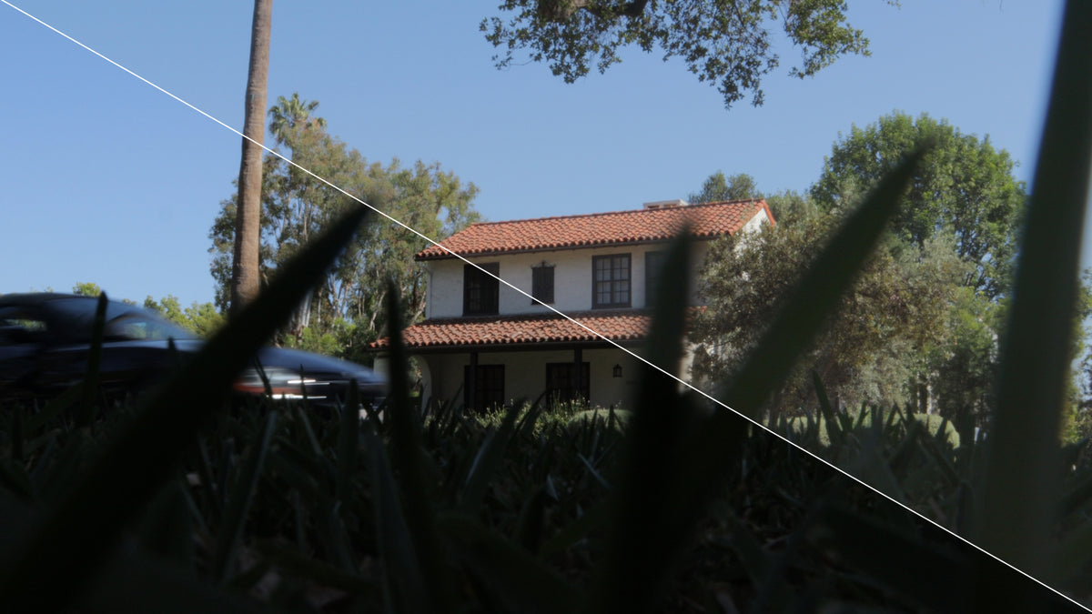 Free Canon EOS Neutral LUT Download! – CINECOLOR