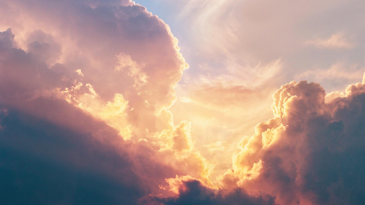 MASTER PACKS – CINECOLOR