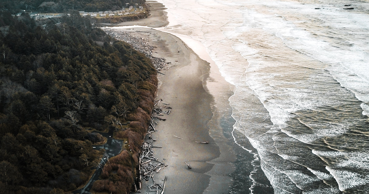 BLEACH BYPASS FILM EMULATION – CINECOLOR