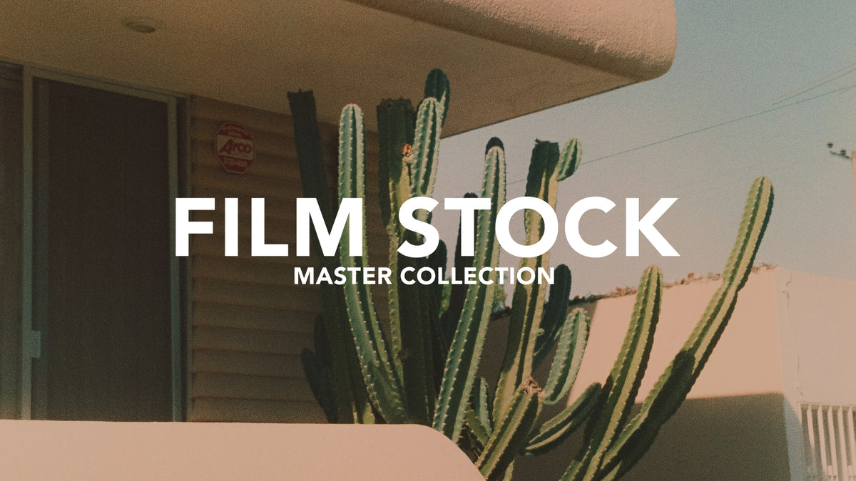 FILM STOCK MASTER COLLECTION – CINECOLOR
