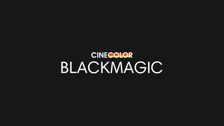 CAMERA LUTS – CINECOLOR
