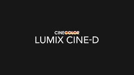 FREE LUTS – CINECOLOR