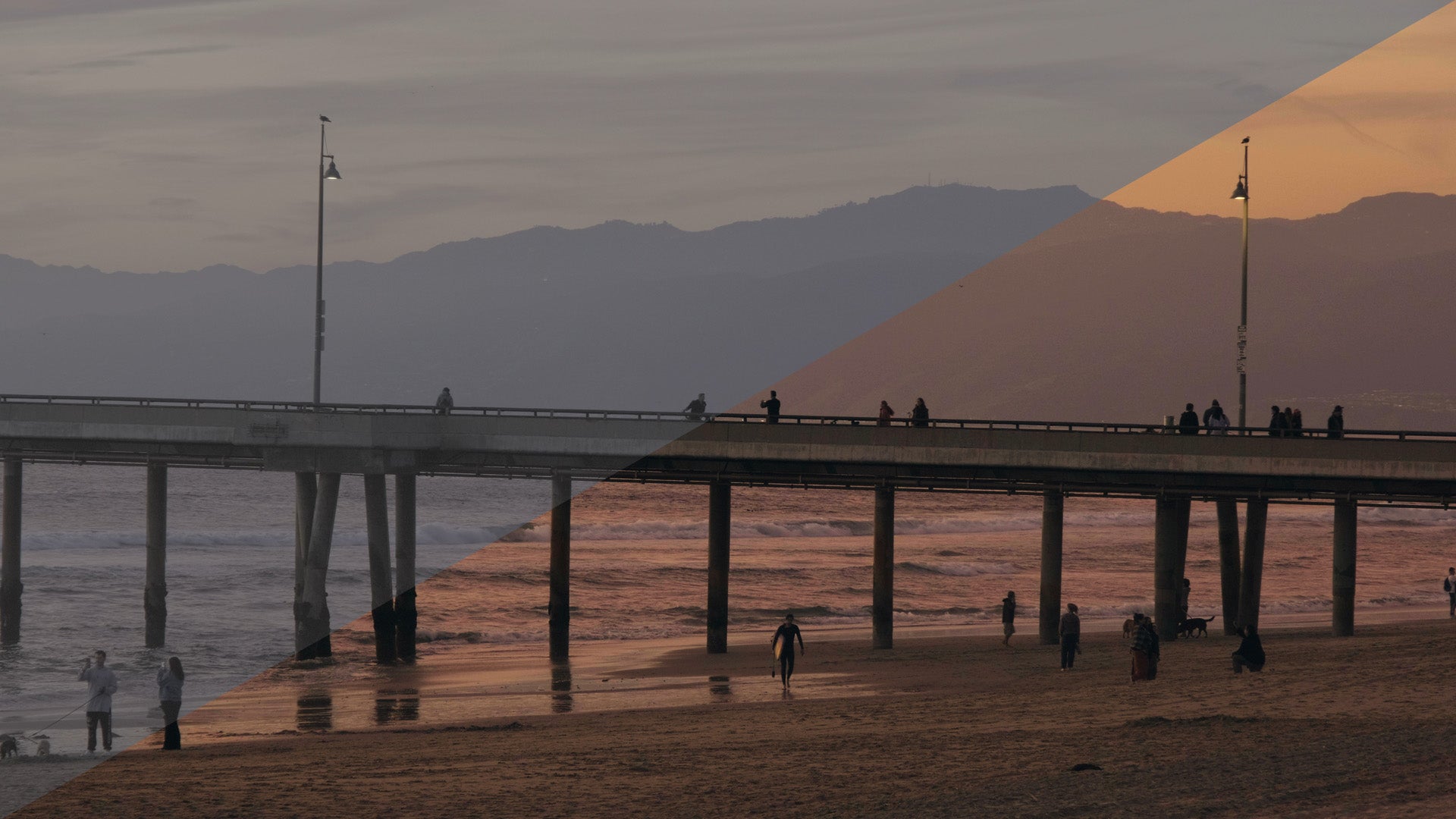 SONY S-LOG3: MASTER COLLECTION – CINECOLOR