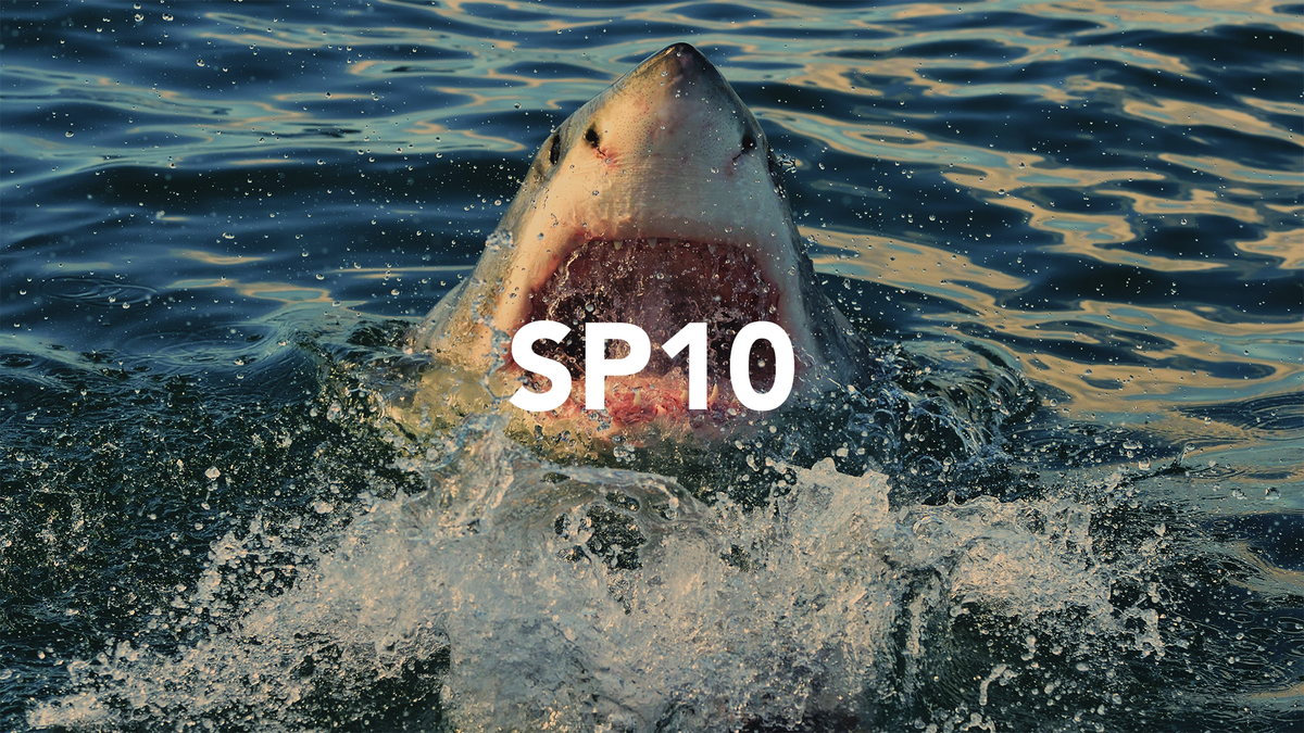SP10 – CINECOLOR